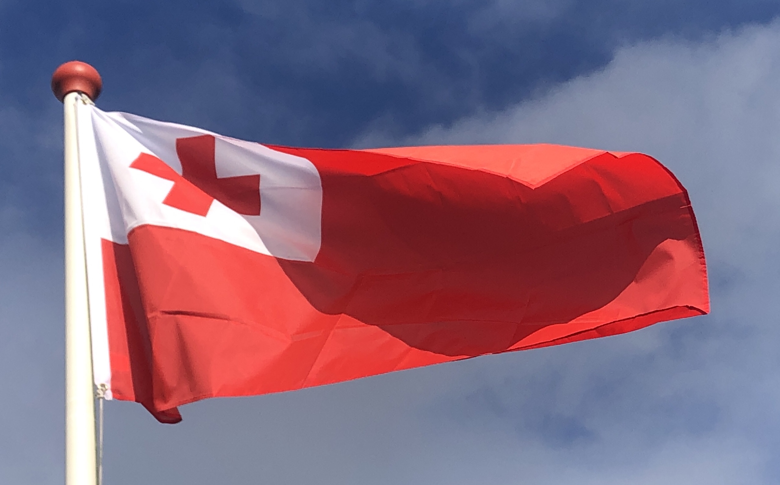 Tonga – Constitution Day / Grondwetdag (1875) | Vlagblog