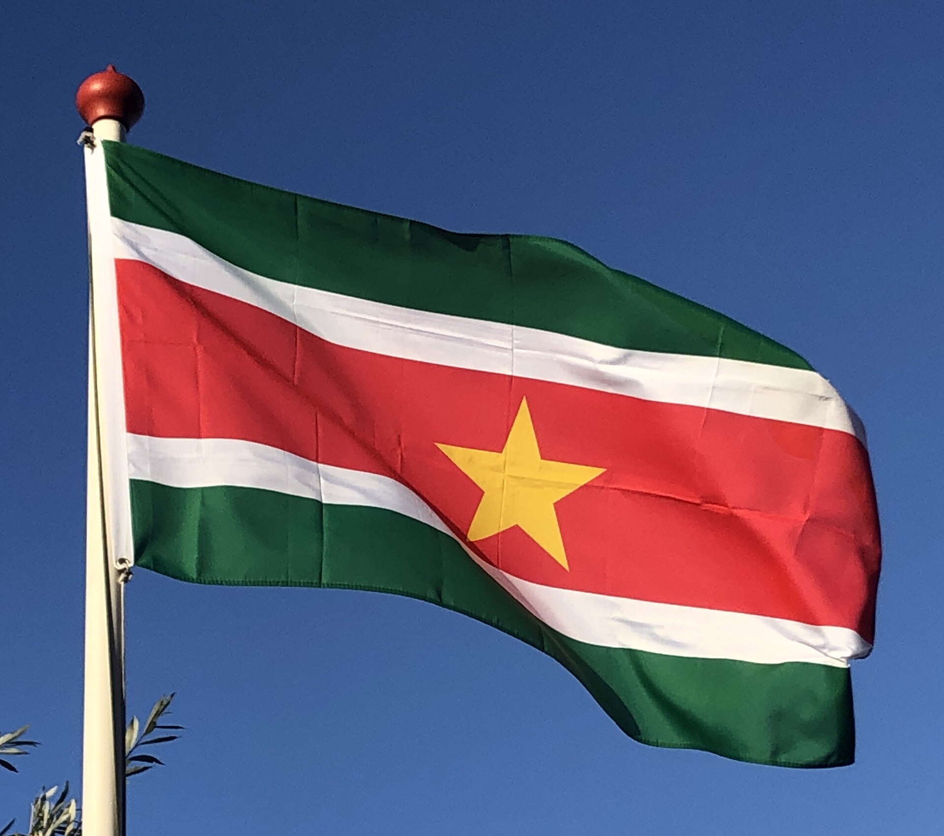 Suriname – Onafhankelijkheidsdag / Srefidensi Dey (1975) | Vlagblog