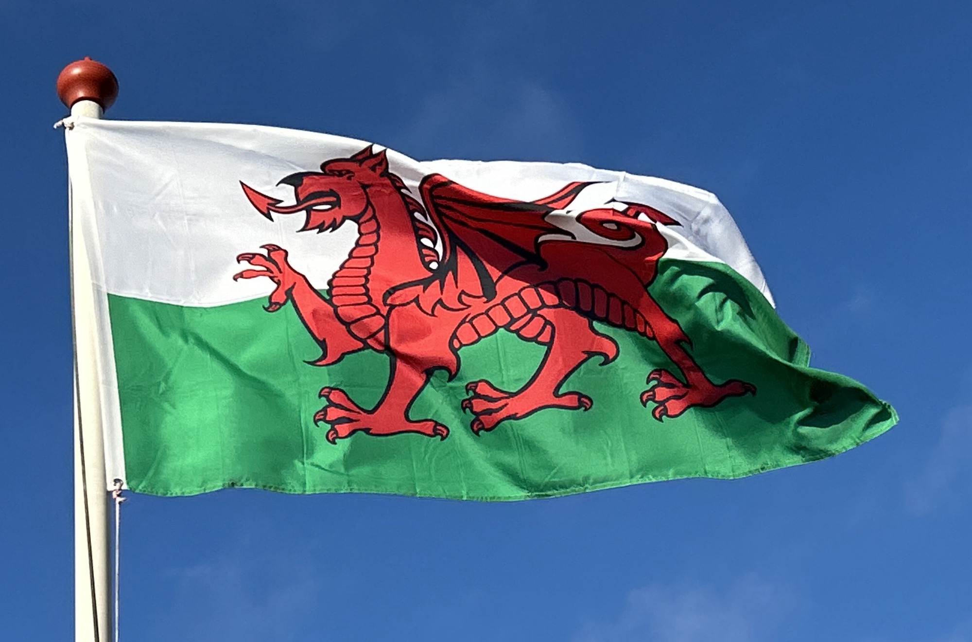 Wales – Dydd Gwyl Dewi Sant / Saint David’s Day / Sint Davidsdag | Vlagblog